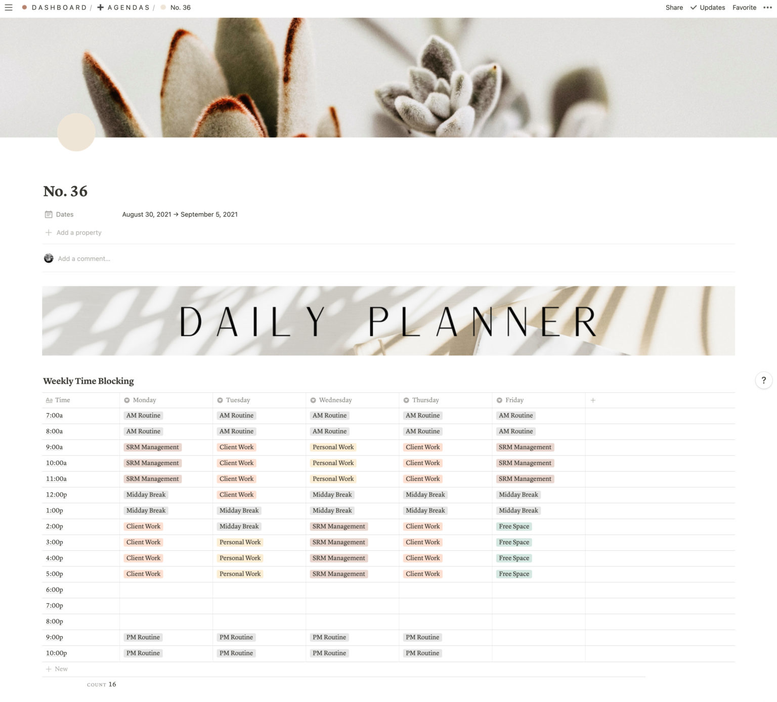 How I Use Notion as a Self Employed Creative - Scorpio Rising Media
