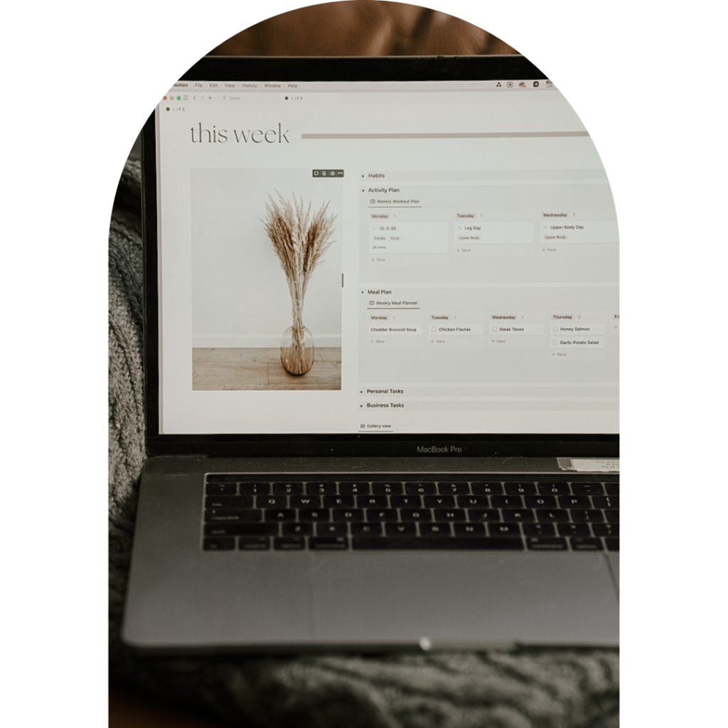 Notion Archives - Scorpio Rising Media